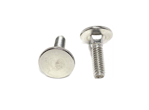 Stainless Steel Elevator Bolt